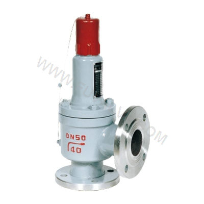 Liquefied petroleum gas Back-flow safety valve - FUVALVE ENGINEER TEAM