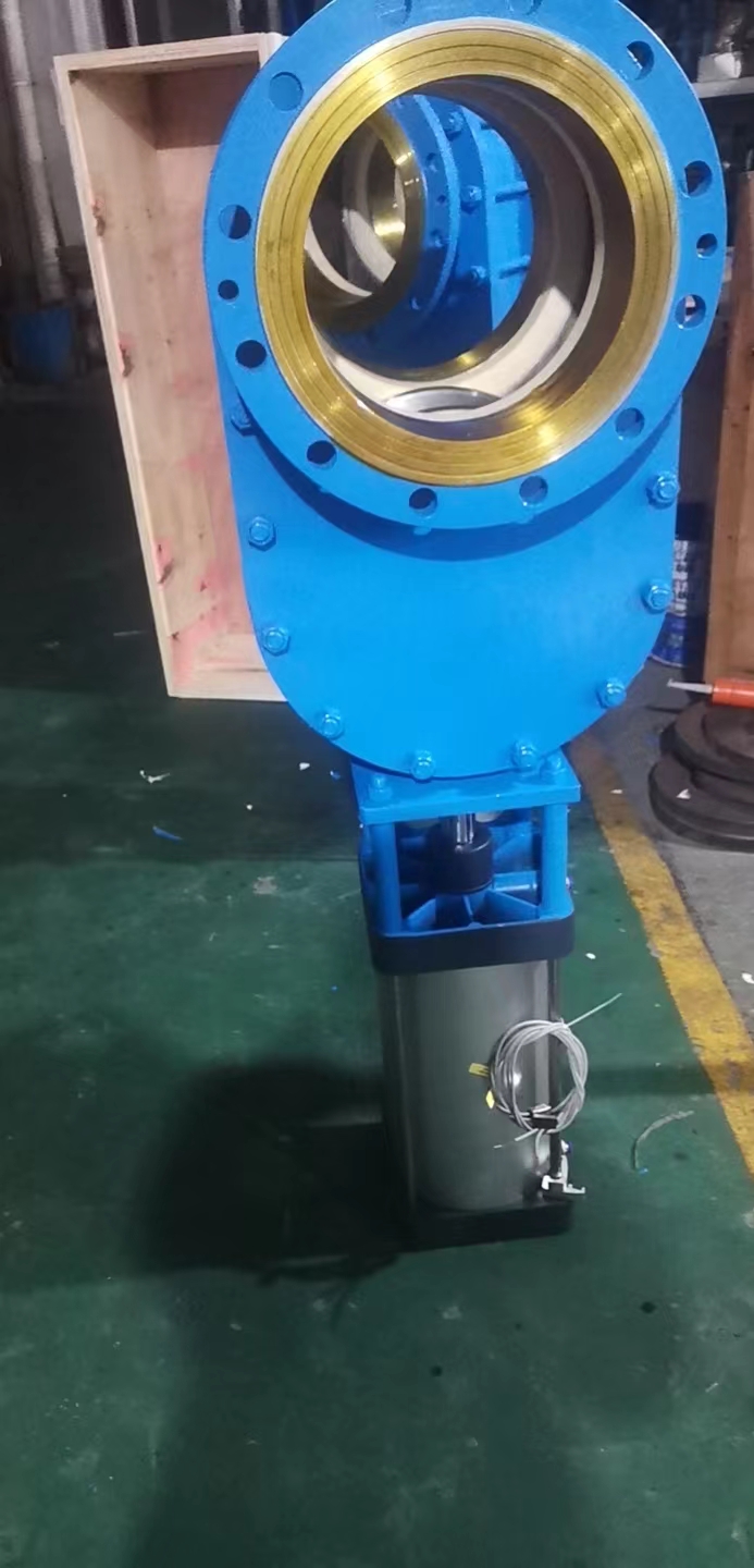 DN250 pneumatic ceramic double gate valve delivered to Europe - FUVALVE ...